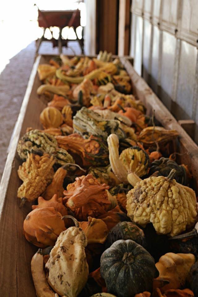 Alabama's Official Travel Guide