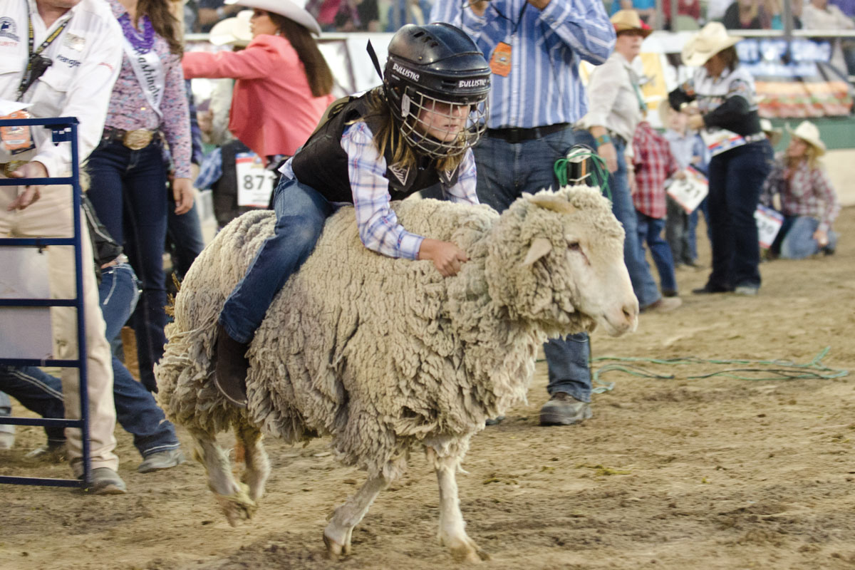 Monroe County NCPRA Rodeo - Frisco City - Alabama.Travel