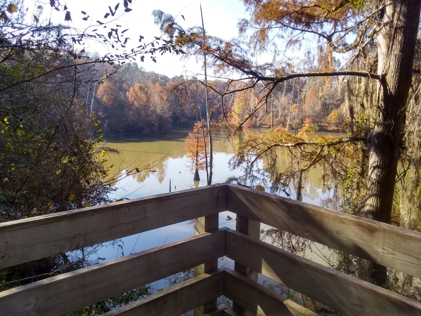 Old Cahawba Archaeological Park - Orrville - Alabama.Travel